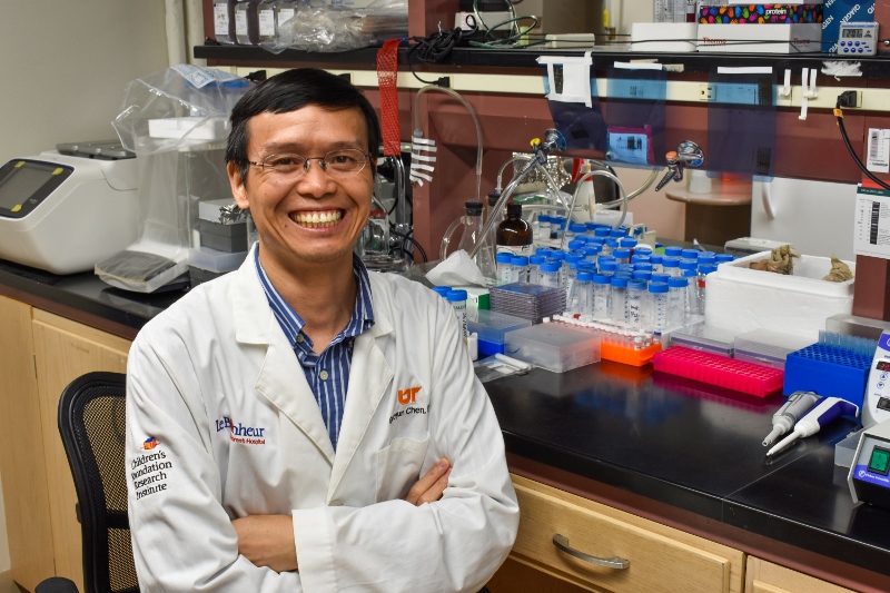 UTHSC’s Guoyun Chen Receives $1.9 Million Grant to Continue Sepsis ...