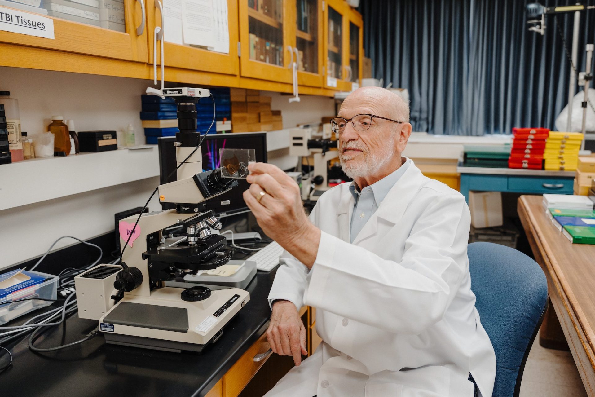 Dinosaurs Could Not Have Become as Smart as Humans, UTHSC Researcher ...