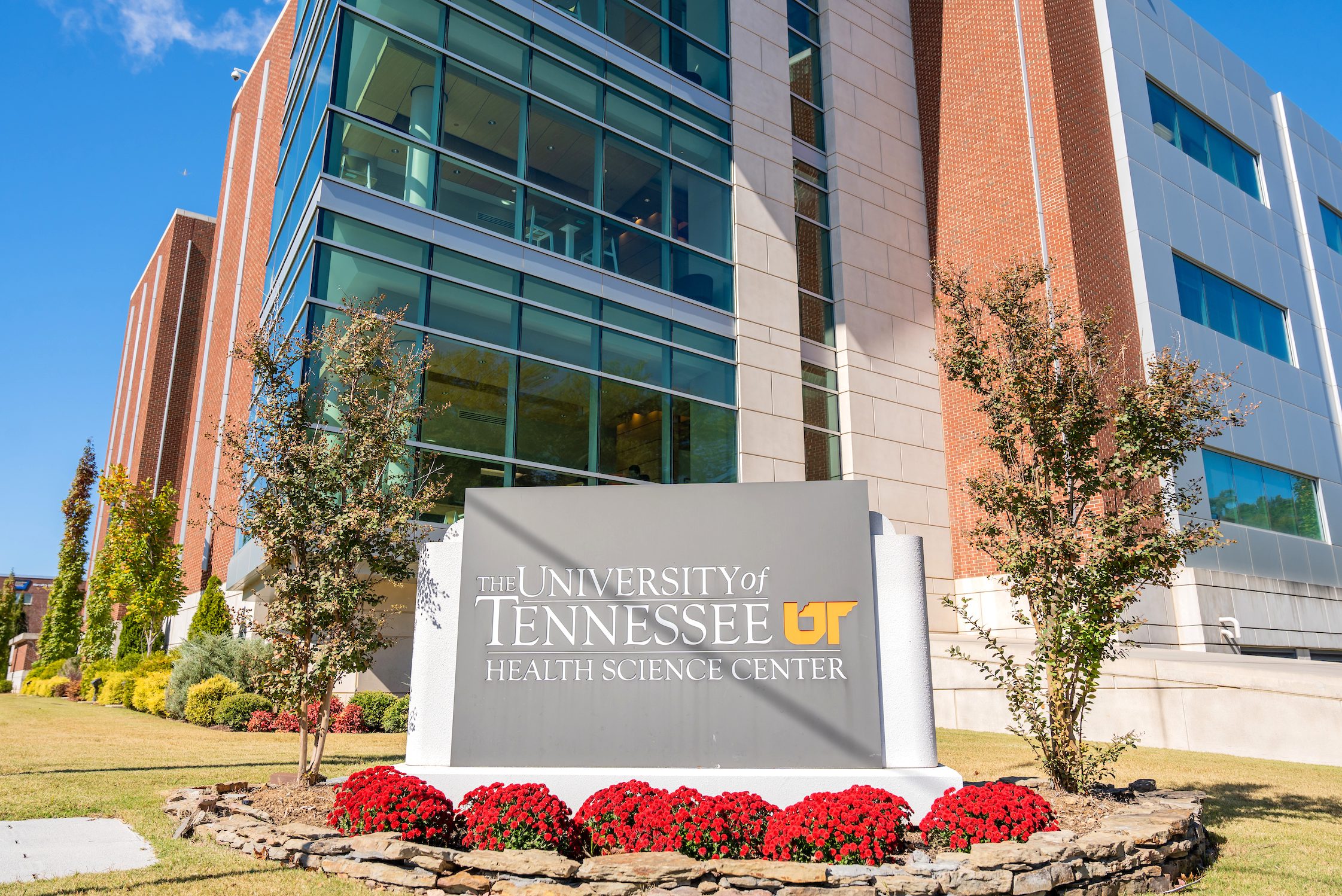 UTHSC Research Spinoffs Gain Momentum with National Business Grants - UTHSC News