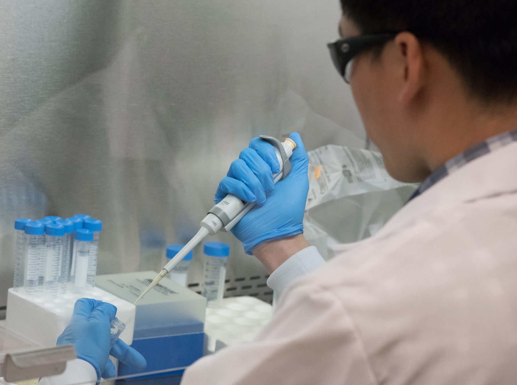 College of Pharmacy Implements Lab Rotation Program for PhD Students ...